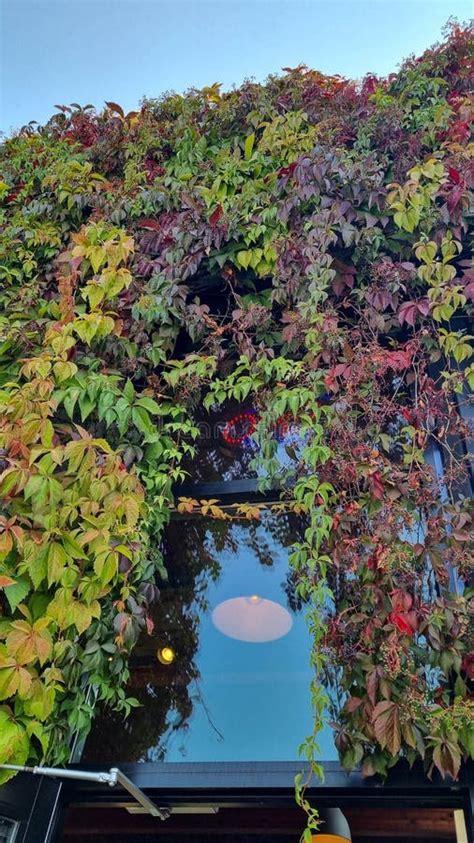 Glass Facade With Natural Plant Details Green Architecture Concept