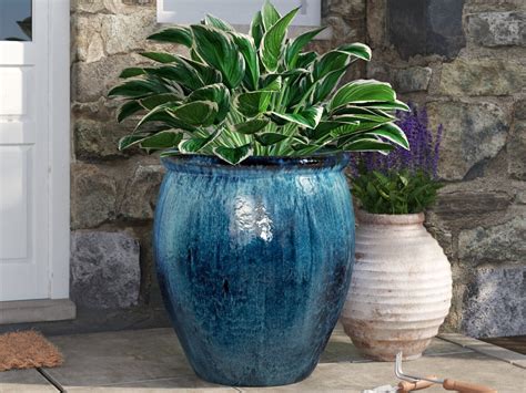7 Most Popular Types Of Pots For Plants Planter Materials Sizes And Shapes Creative Design
