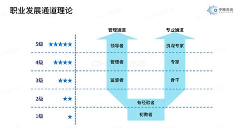 职业发展通道的类型及设计原则中略咨询