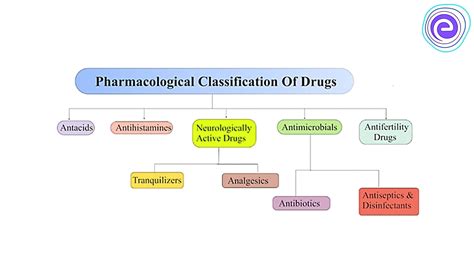 Pharmacological Classification Of Drugs Anatomy System Human Body
