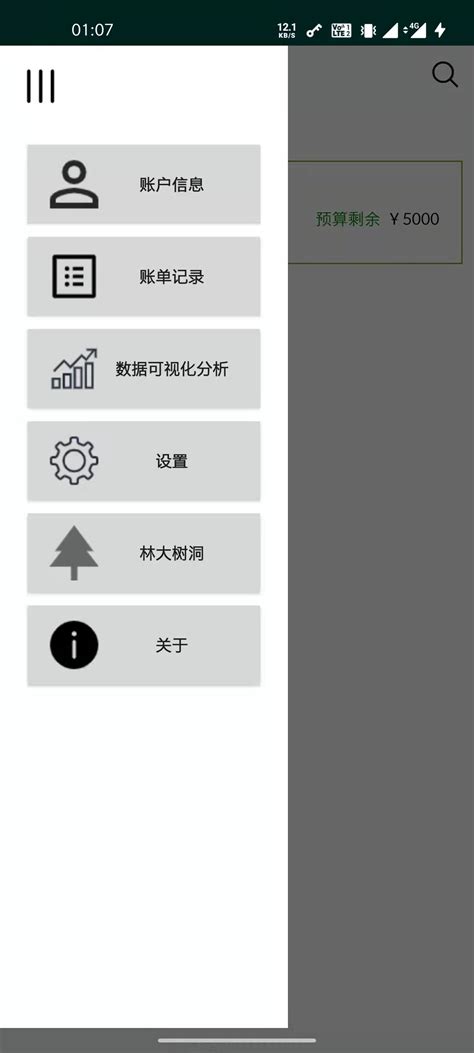 github looechao csuft tally 林大账本