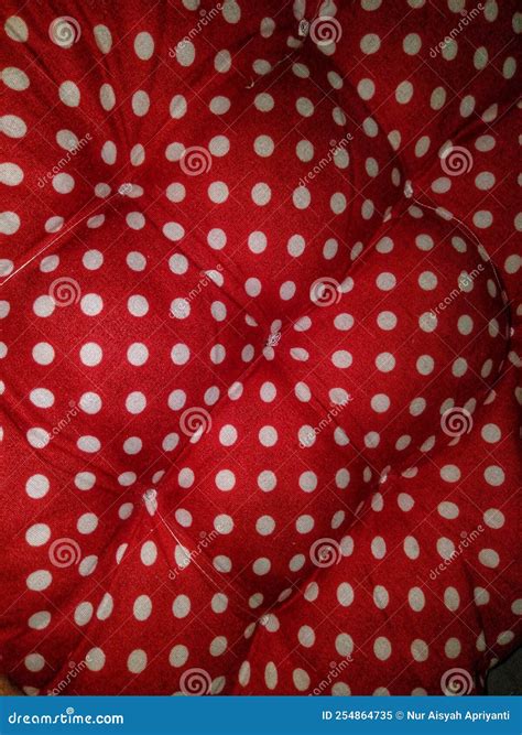 Red Pillow With Small White Pulka Dot Pattern Stock Image Image Of Pulka White 254864735