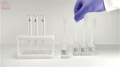 Хімія 8 клас Лабораторний дослід 6 Реакції обміну між солями в розчині Youtube