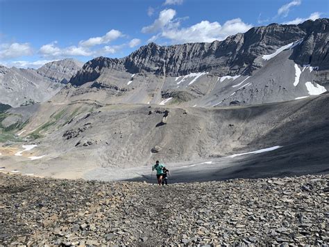 Northover Ridge The Happiest Place On Earth Running With Rhyno