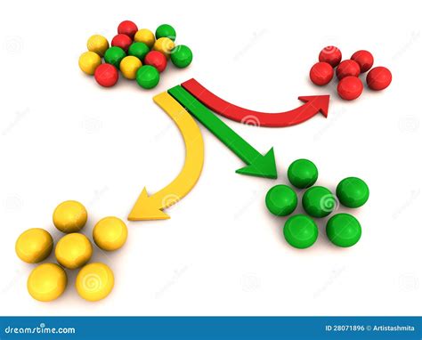 Segmentation Cartoons Illustrations And Vector Stock Images 8672 Pictures To Download From