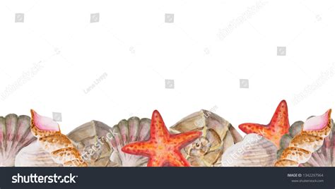 Scaloped Border Images Stock Photos Vectors Shutterstock