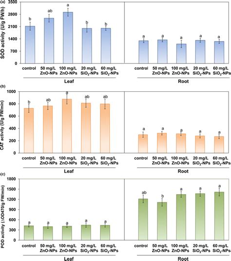 Effects Of Foliar Spraying With Zno‐nps Or Sio2‐nps On The Activities Download Scientific