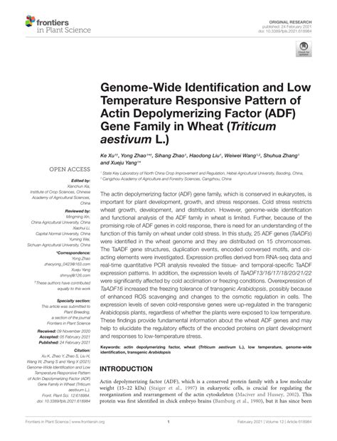 Pdf Genome Wide Identification And Low Temperature Responsive Pattern