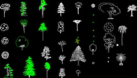 Trees DWG Block For AutoCAD Designs CAD