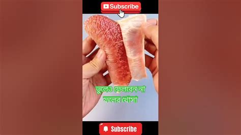 ভিডিও টি দেখলে বুঝবেন কত বড় ভুল করতেন 🙂 Viralvideo Funny Lifehacks