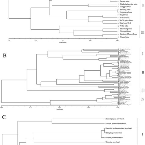 Dendrogram Showing The Genetic Relationships Of Three Important Aquatic Download Scientific