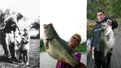 World Record Biggest Largemouth Bass Ever Caught Some Of The Biggest