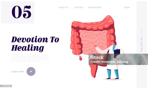 복 통 위장 시스템 질병 방문 페이지 템플릿 아픈 부록 인포 그래픽과 인간의 창자에 의사 또는 의료 교사 문자 스탠드 만화 벡터 일러스트레이션 개념에 대한 스톡 벡터 아트