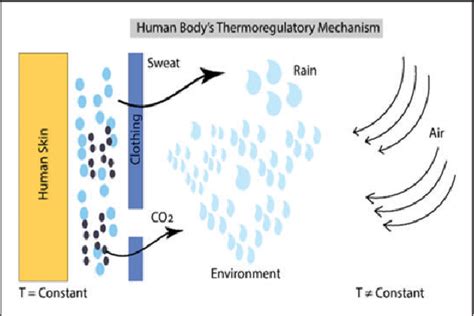 Figure 1 From Artificial Neural Network And Multiple Linear Regression Modeling For Predicting