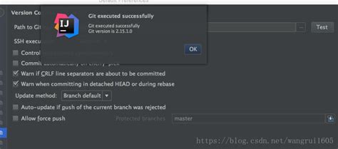 Intellj Idea 配置 Git 时test 出错 完美解决git 和ieda Test失败 Csdn博客