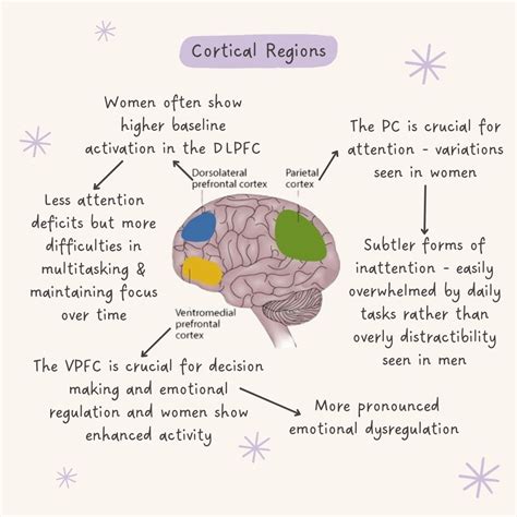 Sex Differences In Brain Regions In Adhd Patients Priyanka Patel