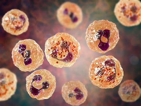 Penbraya Meningococcal A B C W And Y Vaccine To Prevent