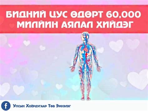 ТА ҮҮНИЙГ МЭДЭХ ҮҮ Хүний биеийн тухай сонирхолтой баримтууд