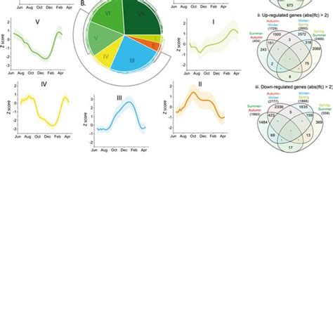 Clustering Analysis And The Temporal Patterns Of Differentially Download Scientific Diagram