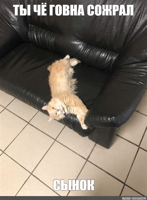 Мем ТЫ ЧЁ ГОВНА СОЖРАЛ СЫНОК Все шаблоны Meme