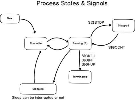 Understanding Processes On Linux Types Of Process In Linux Creating