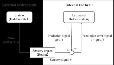 Mechanism Of Human Visual Perception Hypothesis Download Scientific Diagram