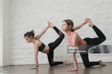 요가 스튜디오에서 스트레칭 요가 자세를 연습하는 두 명의 젊은 여성 웰빙과 자기 관리 개념 빈야사 요가에 대한 스톡 사진 및 기타 이미지 Istock