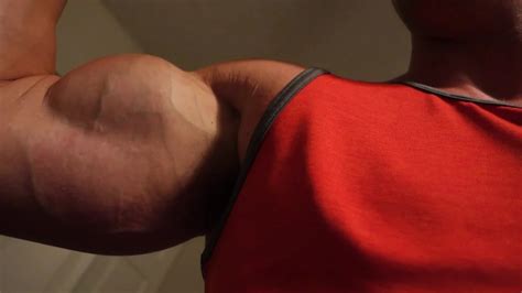 Flexing Verbally Abusive Muscle Alpha …