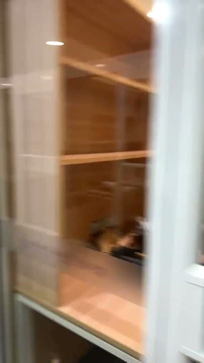 Library In China Watch Till The End 🔚 Youtube