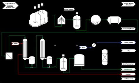 Process Flowchart Listing The Downstream Operations Required To Purify