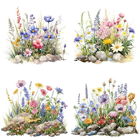 12 Wildflower Digital Art Bundle High Resolution Jpegs Of Colorful