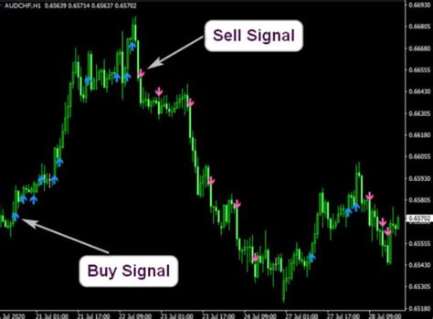 Create An Expert Advisor Or A Custom Mt Or Mt Indic Ator By Routee Fiverr