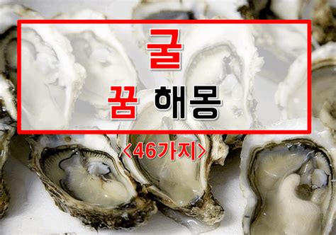 굴 꿈 46가지 해몽 굴 먹는 꿈 굴 따는 꿈 굴 캐는 꿈 굴 사는 꿈 생굴 꿈 Helpful Information