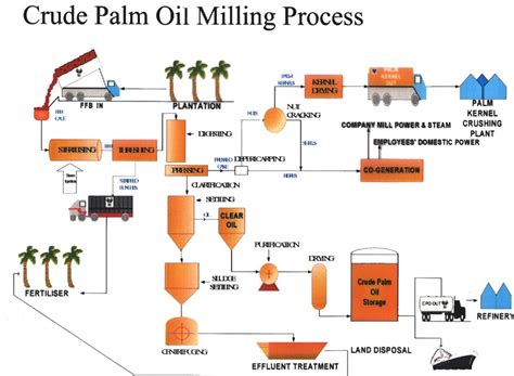 What Is The Detail Process Of Palm Oil Refinery Technology Analysis
