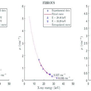 Llustrates The Exponential Fitting For The Extraction Of Tissue Fat Download Scientific