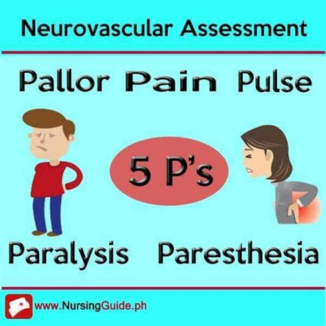 5 Ps Of Neurovascular Assessment Nursing School Survival Nursing