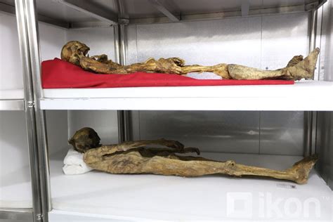 ФОТО Үзмэрийн хадгалалт хамгаалалт олдвор сэргээн засварлалтын мэргэжлийн лаборатори нээлтээ