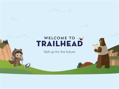 Salesforce Cpq Billing Sales Api Upwork