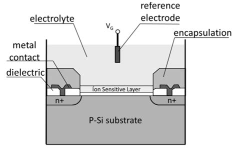 Physical Isfet Structure Representation Download Scientific Diagram