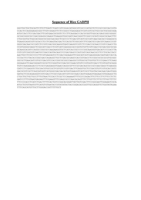 Primer Analysispdf Genetics Science