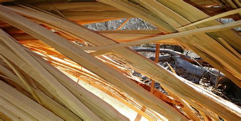 Transparency And Open Data Openforests Blog