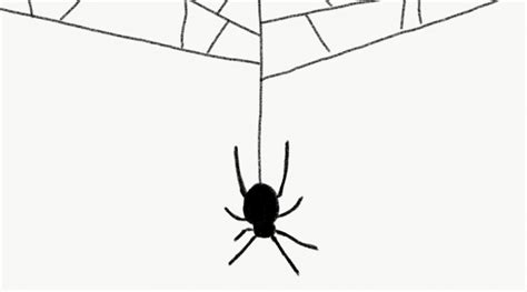 ობობა სად არის