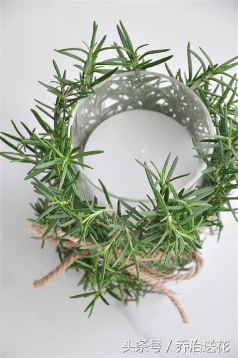 花手作｜值得擁有的香草植物——迷迭香！ 每日頭條