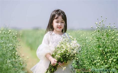 Stt Hay V Con G I R U