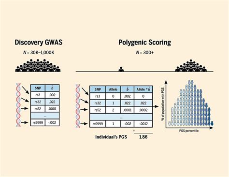 On Genetic Potential Clear Language Clear Mind