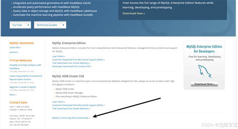 Mysql官网下载WindowsLinux各个版本 技术栈