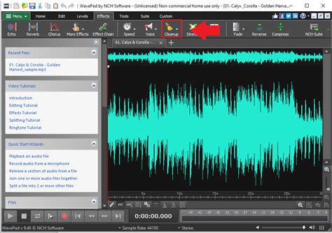 Remove Unwanted Background Noise Using WavePad Audio Editor Do More With Software