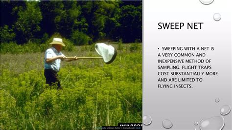 Common Sampling Techniques In Insect Pests Pptx