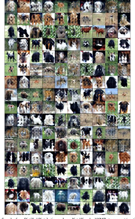 Figure 10 From Distributional Dataset Distillation With Subtask