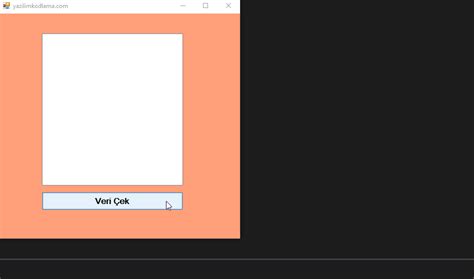 C Excel Dosyasından ListBox İçine Veri Alma Bilişim Programlama